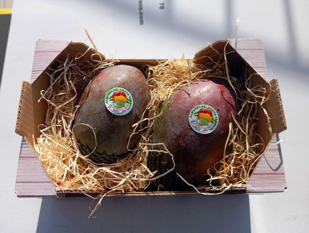 Caja de Mango nacional tamaños XL - Frutas Los Cursos